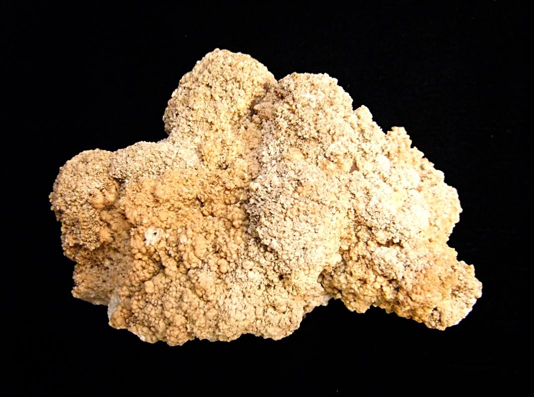 CORAL ARAGONITE RAW CRYSTAL SPECIMEN. SP11567SHLF