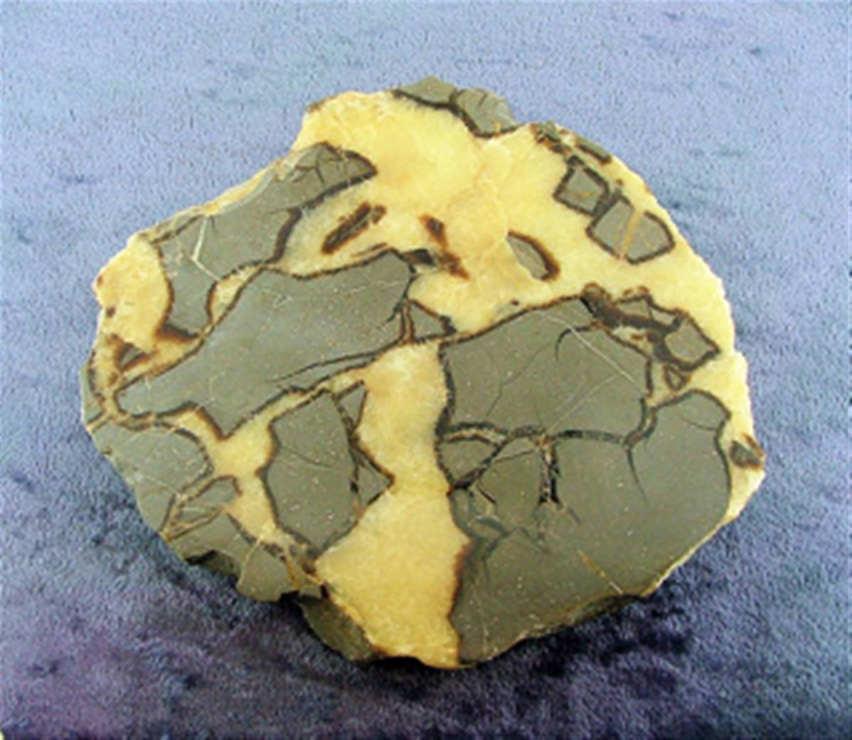 SEPTARIAN POLISHED SLICE SPECIMEN. SP6808POL