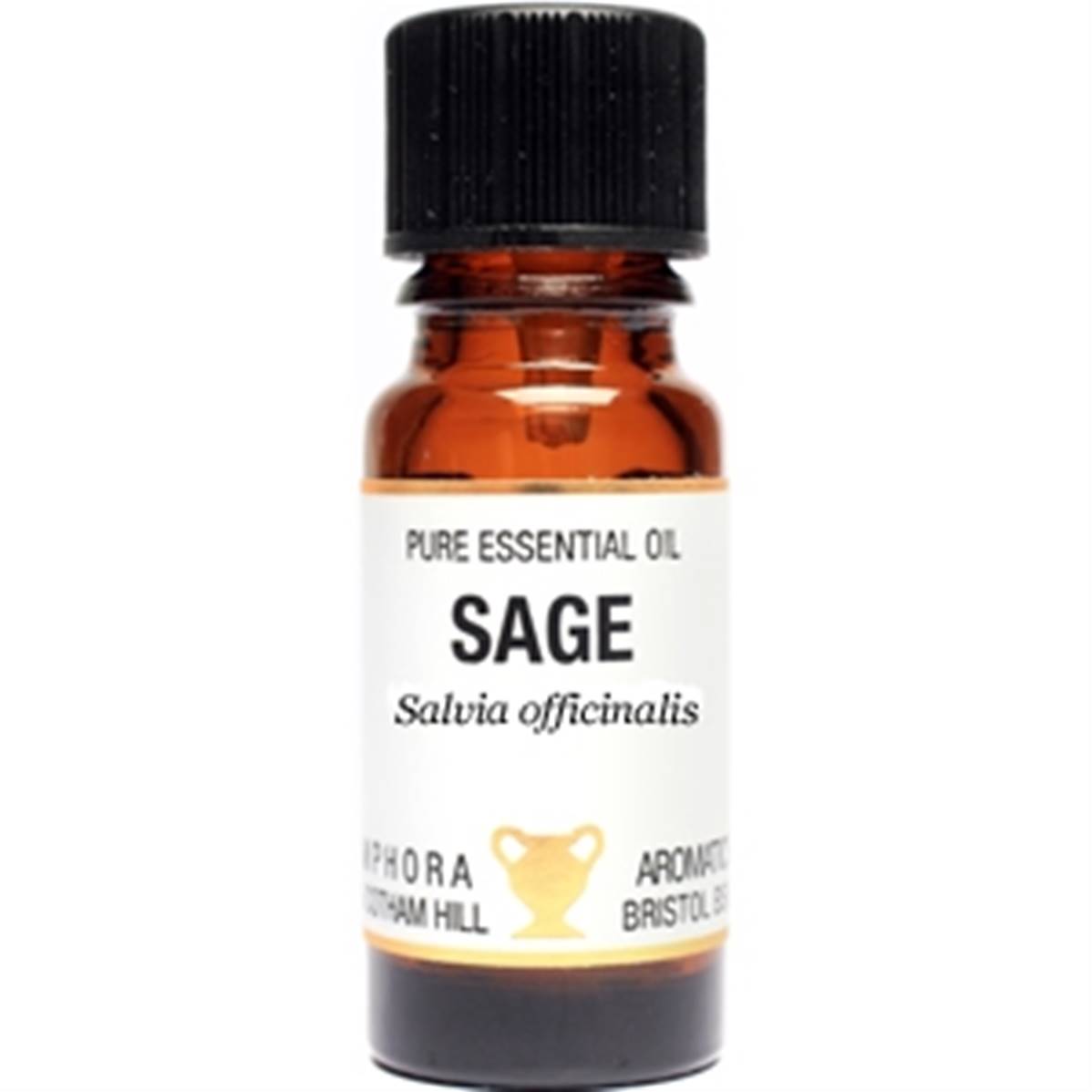 PURE ESSENTIAL OIL - SAGE, salvia officinalis. SPR5731