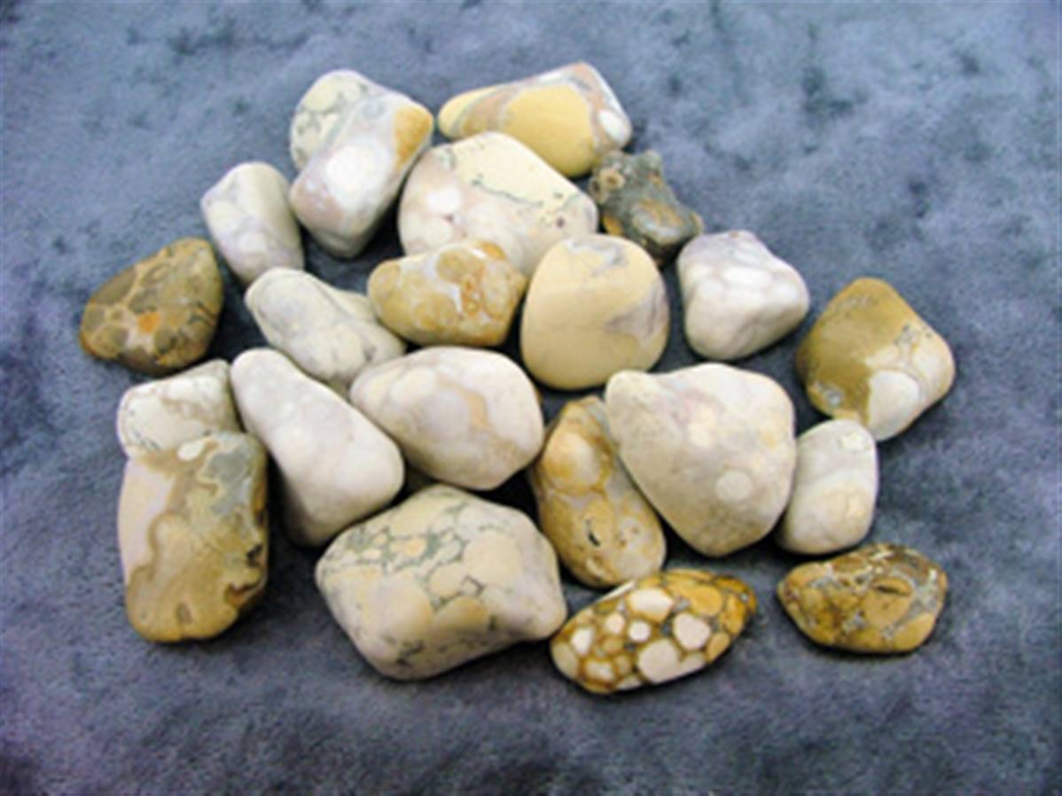 SPOTTED AGATE POLISHED TUMBLE STONES (INDIA) EXTRA LARGE 1Kg BAG. polstone