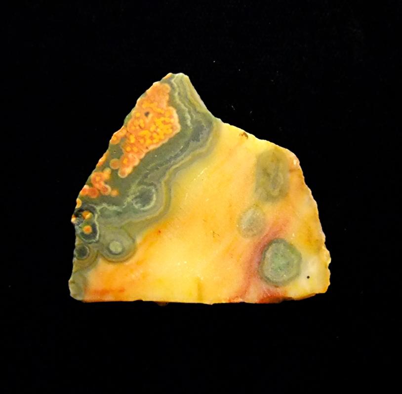 ORBICULAR JASPER SLICE SPECIMEN. SP11005