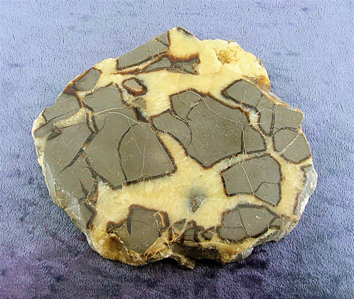 SEPTARIAN POLISHED SLICE SPECIMEN. SP6808POL