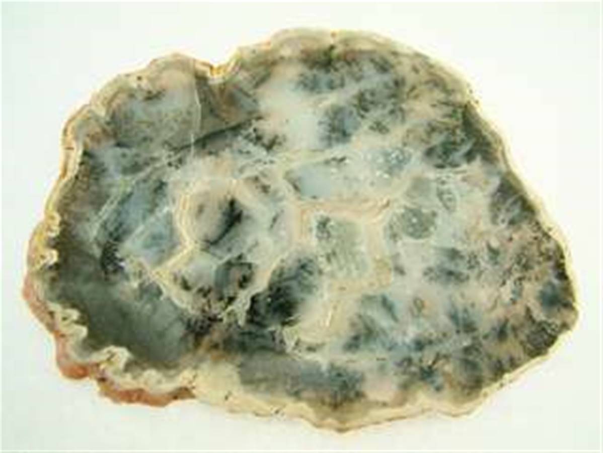 MERLINITE POLISHED SLICE SPECIMEN. SP2609POL